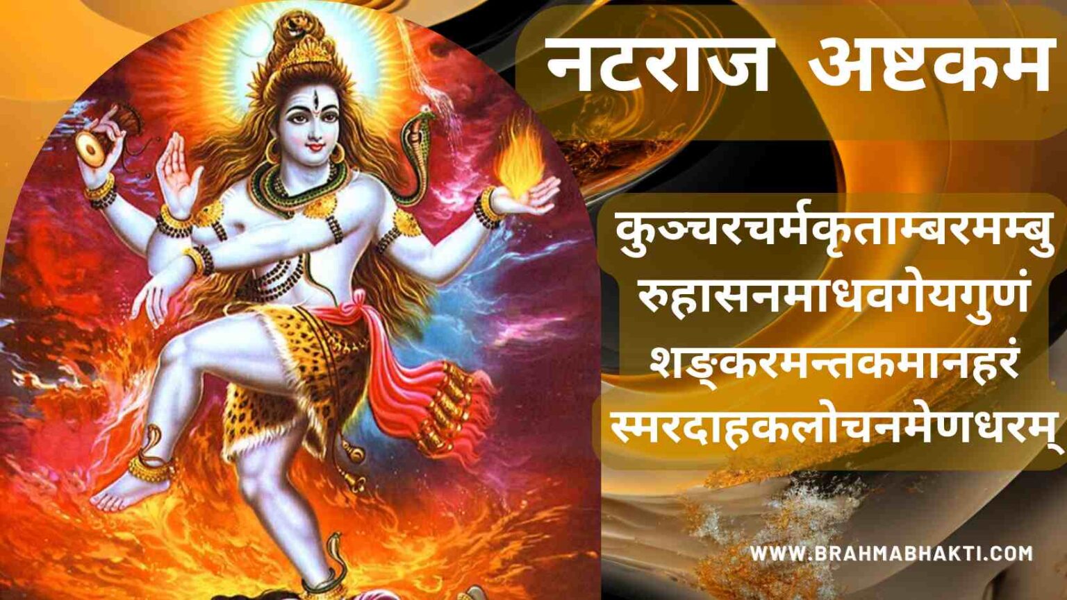 स्वामी समर्थ अष्टक | Swami Samarth Ashtak